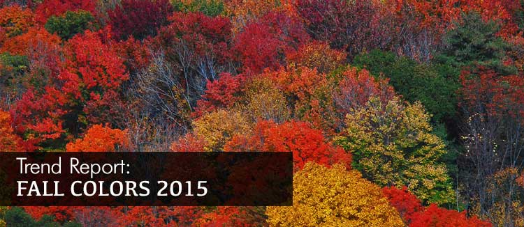 Top Five Colors for Fall – Fashion Fabrics Club